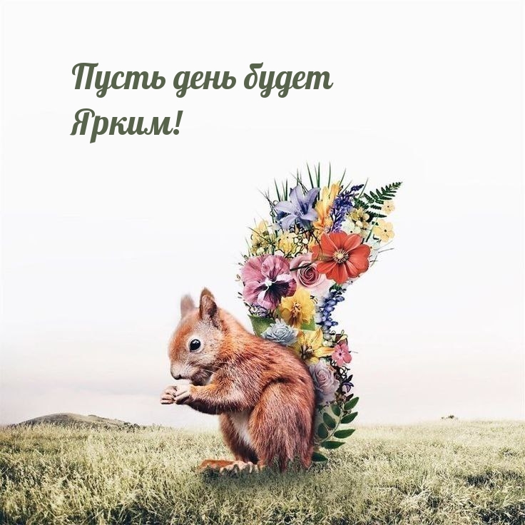 Картинки с надписью - Пусть день будет Ярким!.