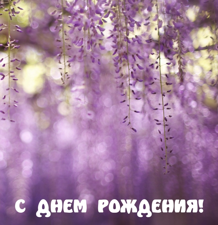 Картинки с надписью С днем рождения